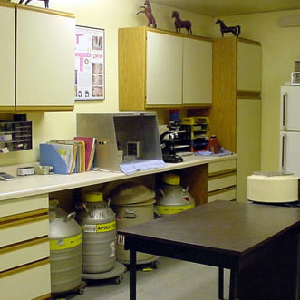 Equine Reproduction Center